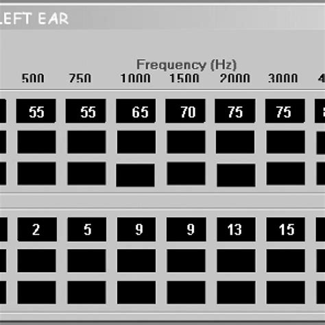 assessment data entry window from the dsl®[i o] v4 1 software system