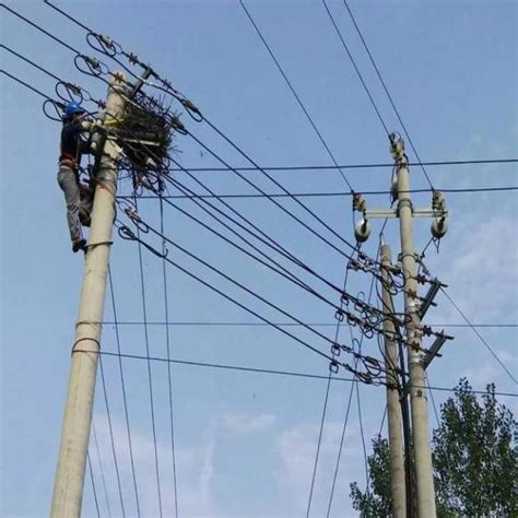 Vegetationdetection Dataset And Pre Trained Model By Imagedetection