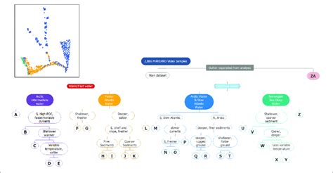 A Cluster Dendrogram Visualizing The Twinspan Analysis And Possible