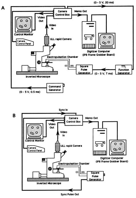 A B Schematic Drawing Of The Rapid Ultra Low Light Intensifying