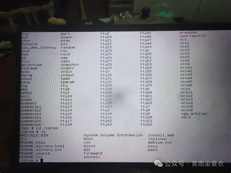 无U盘安装ubuntuDebian等发行版 青雨染蓑衣的个人小站