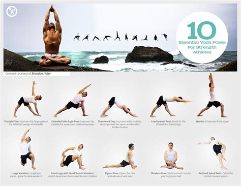 Infographic 10 Essential Yoga Postures For Strength Athletes