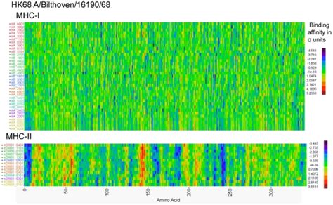 Hierarchical Clustering Of Predicted Binding Of Multiple Mhc I And
