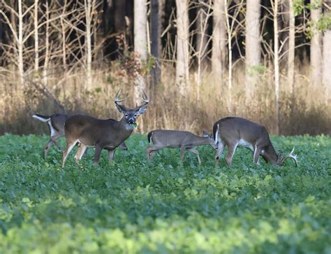 Bug Busters Pest Control Travel Plans For Summer Did You Know That