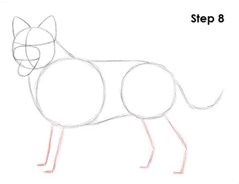How To Draw A Border Collie Artofit