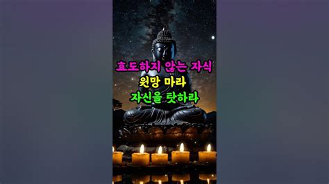 부처님말씀 부처님가르침 부처님명언 자기수행 인생조언 부모와자식 부모역할 자식의복 불교오디오북 불교명상 불교방송 Youtube