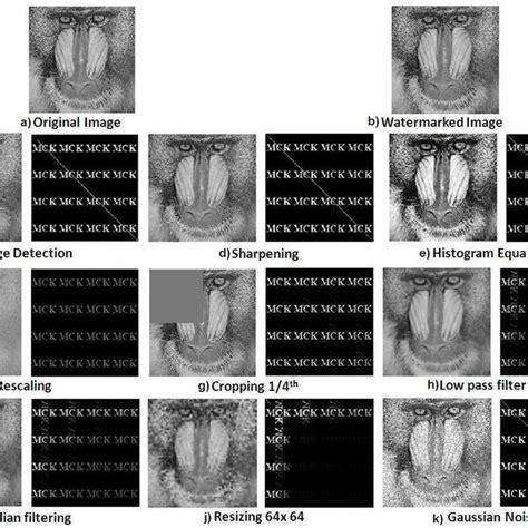 Hybrid Svd And Wavelet Based Watermarking Scheme Download Scientific Diagram