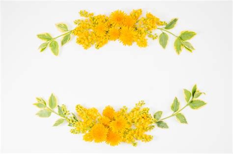 95 000 Padauk Flower Pictures