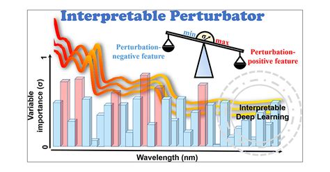 interpretable perturbator for variable selection in near infrared
