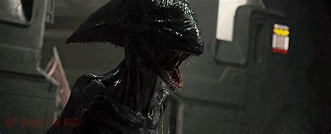 Deacon Prometheus Alien