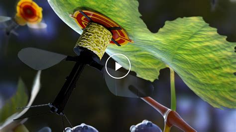 Tiny Robot Can Fly And Amazingly Rest The New York Times