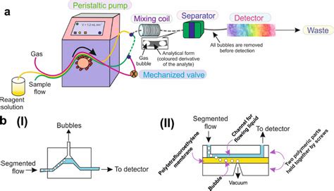 a segmented flow analysis setup b schematic representation of
