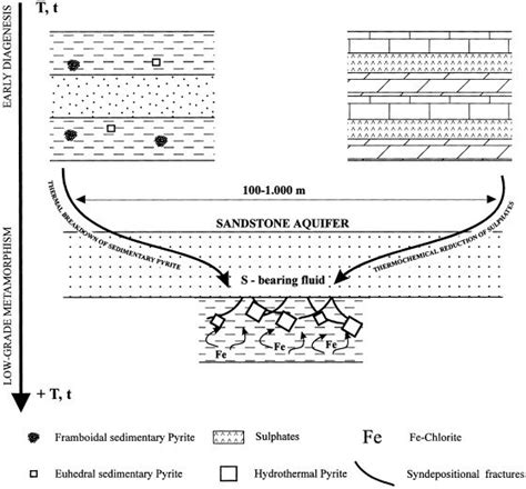 Schematic Diagram Showing The Different Stages In The Formation Of Download Scientific Diagram