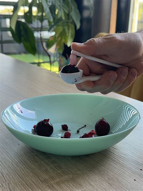 Simple Cherry Pitter Easy To Print 100 Working New Update By 3dmar Download Free Stl