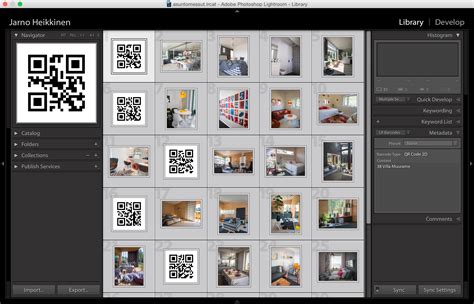 LR Barcodes Capture Monkey