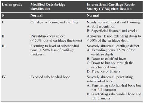 Osteochondral Injury Of The Knee Joint Free Essay Example By Essaylead