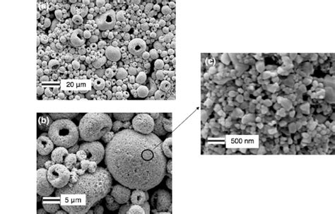sem micrographs with different magnifications showing the