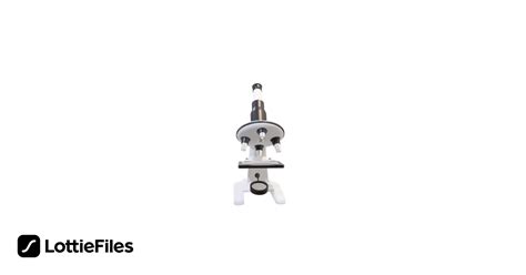 Free Microscope Rotate Animation By Rachel Skwerer Lottiefiles