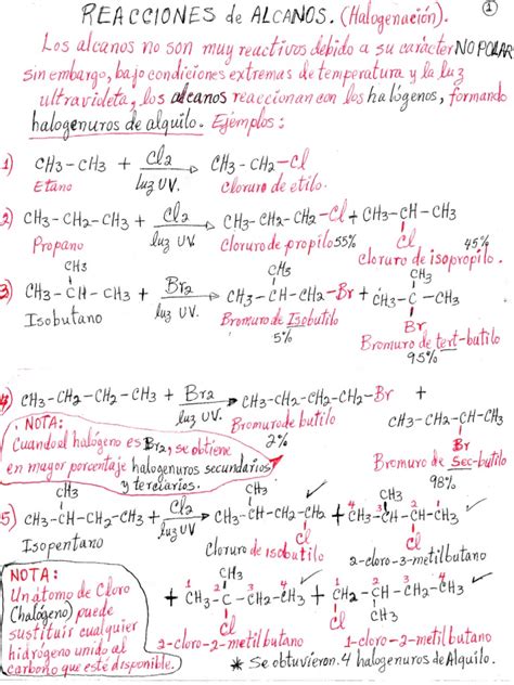Ejercicios Reacciones De Alcanos Pdf