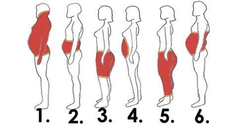 How To Get A Six Pack The Truth About Stubborn Belly Fat Tm Fitness