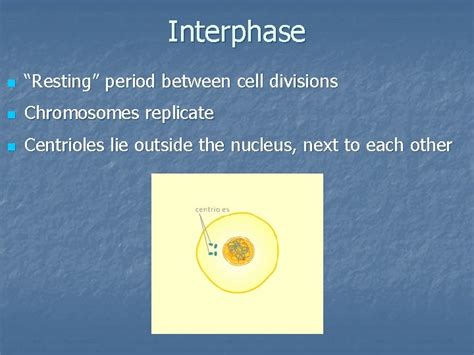 Mitosis Meiosis Mitosis N N One Cell Divides