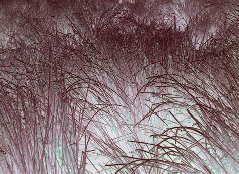 Abstract Negative Grass Free Backgrounds And Textures