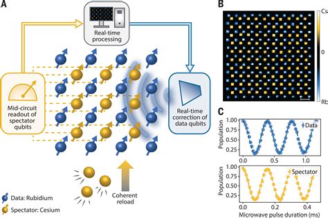 Mid Circuit Correction Of Correlated Phase Errors Using An Array Of Spectator Qubits Science