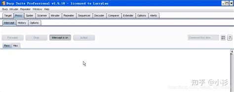 Burpsuite入门及详细使用教程(内附学习笔记)burpsuite使用教程 Csdn博客 Burpsuite入门及详细使用教程(内附学习笔记)burpsuite使用教程 Csdn博客