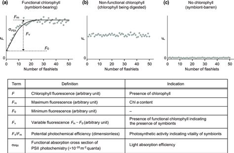 Schematic Diagram Of Fluorescence Induction Curves By Fast Repetition