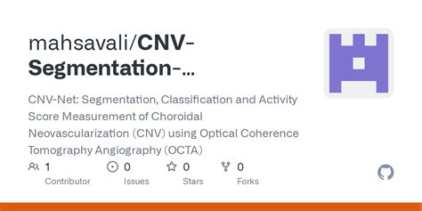 Github Mahsavalicnv Segmentation Classification Octa Cnv Net