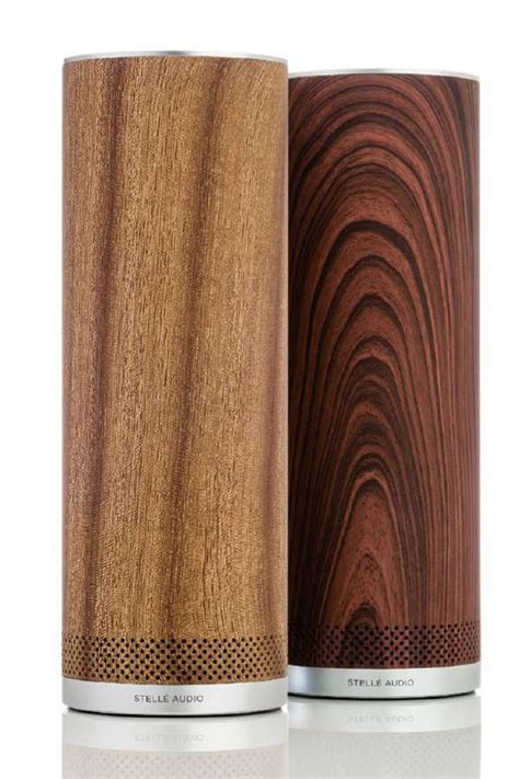 17 Best Images About Diy Bluetooth Speakers On Pinterest Old Suitcases Ranges And Loudspeaker