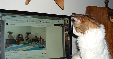 Laila And Angel Minchie Minchie Surfing The Web