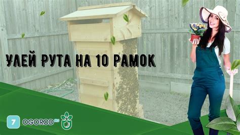 Улей Рута на 10 рамок - YouTube