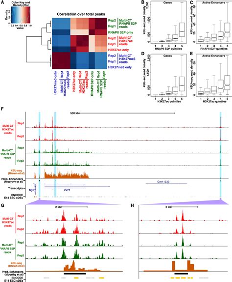 Simultaneous Profiling Of Multiple Chromatin Proteins In The Same Cells Molecular Cell