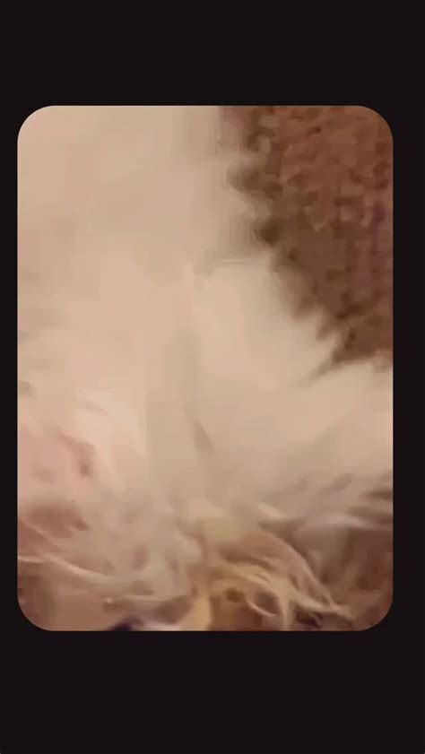 ‎𓂉 𝗧𝗶𝗺𝘀𝗼𝗻 𓇮 ڱ‎ Timson123 • Instagram Photos And Videos