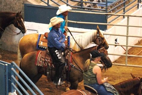 2009 Nrcha Open Finalist Ted Robinson Watching The Last Of The Cow Work