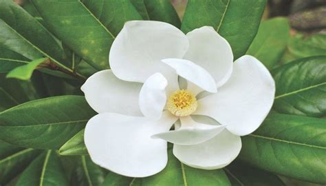 Prasanth G On Linkedin Health Healthtips Healthcare