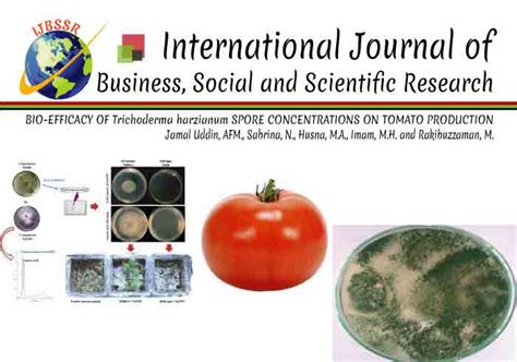 Bio Efficacy Of Trichoderma Harzianum Spore Concentrations On Tomato Production