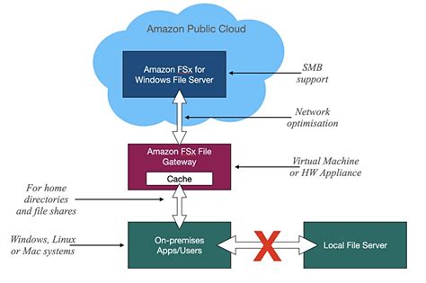 amazon fsx catslaneta