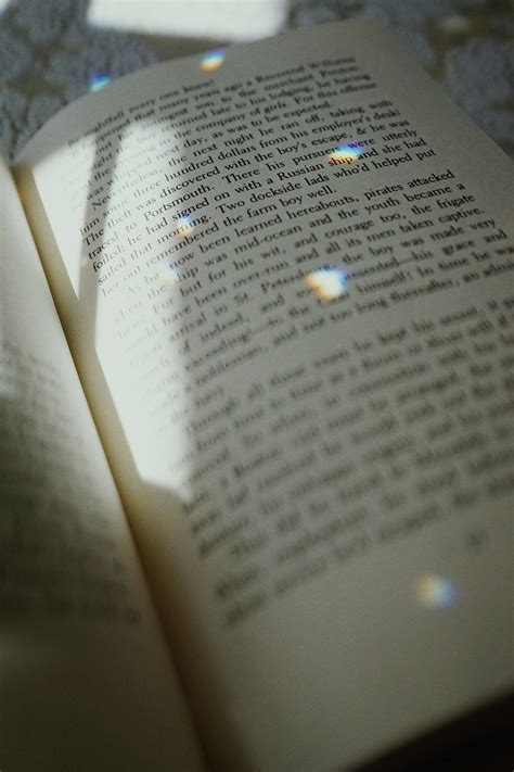 고요한 고전 문학 공부 코너 공부하다 교육 독서 코너 독서하는 독창성 레터링 문학 문화 반사 빈티지 조명