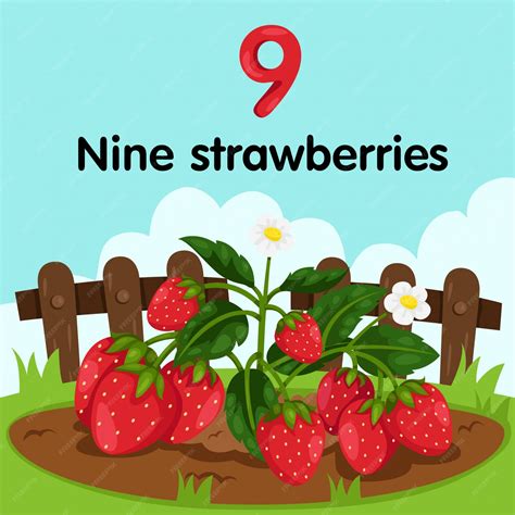 Premium Vector Illustrator Of Number Nine Strawberries