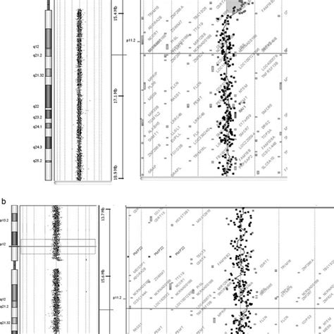 Maternal And Foetal Cgh Array Results A Cgh Array Of A Maternal Blood