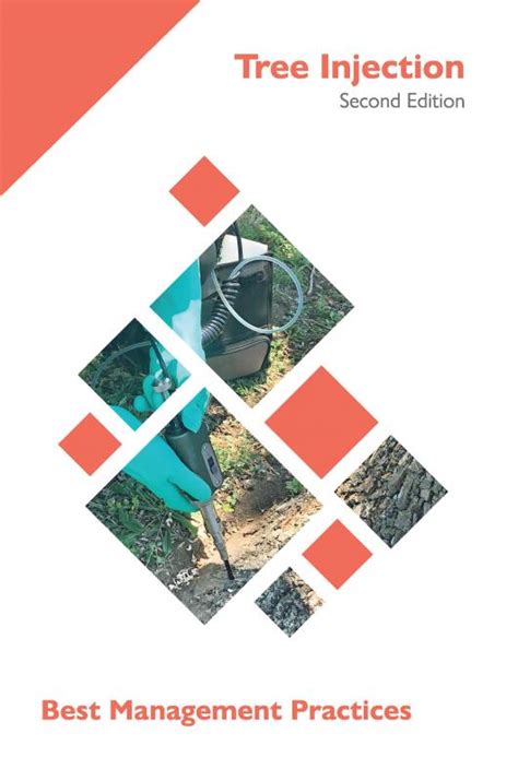 ANSI Z133 Safety Standard Tree Tools USA