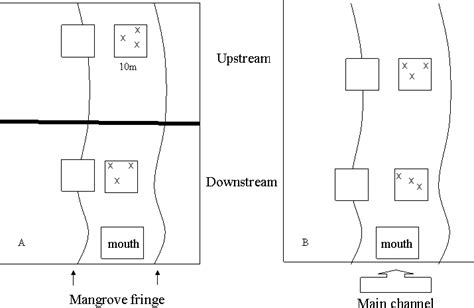 Schematic Of Transects And Sampling Plots Upstream And Downstream Sites
