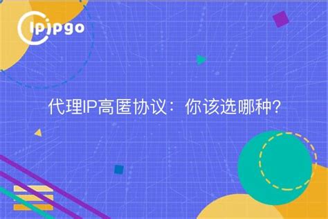 Proxy Ip High Stash Protocols Which One Should You Choose Ipipgo