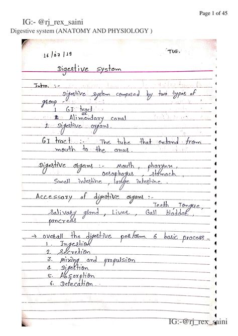 SOLUTION Digestive System Anatomy And Physiology Notes Studypool