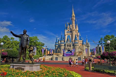Baixe Papéis De Parede Do Floraisflorescendo Na Walt Disney World Para