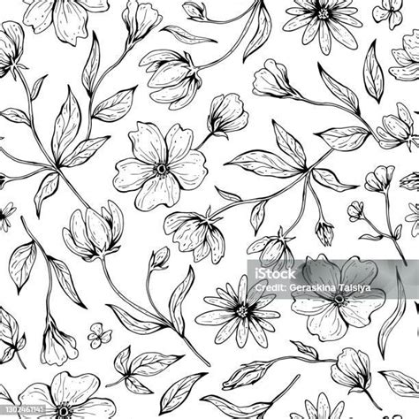 플로럴 매끄러운 패턴 인쇄 직물 직물 벽지에 대한 질감 라인 아트 스타일로 손으로 그린 잉크 일러스트레이션 흰색 배경에 격리 0