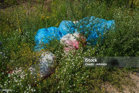 자연에서 파란색 쓰레기 봉투에 불법으로 버려진 폐기물 0명에 대한 스톡 사진 및 기타 이미지 0명 금지됨 독일 Istock