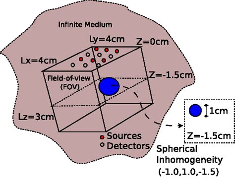 Figure 1 From Compressed Sensing In Diffuse Optical Tomography References And Links Semantic